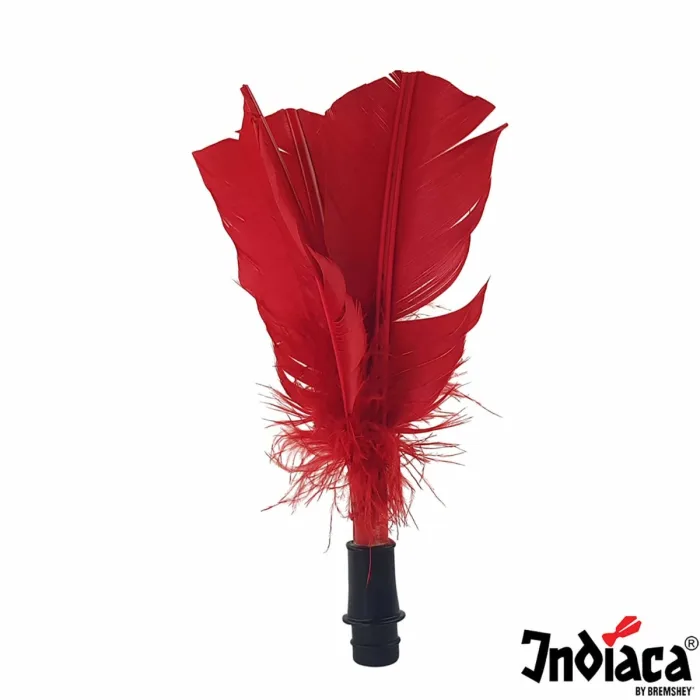 Indiaca Toernooi Pro - Indiaca Peteca shuttle vervangings veren